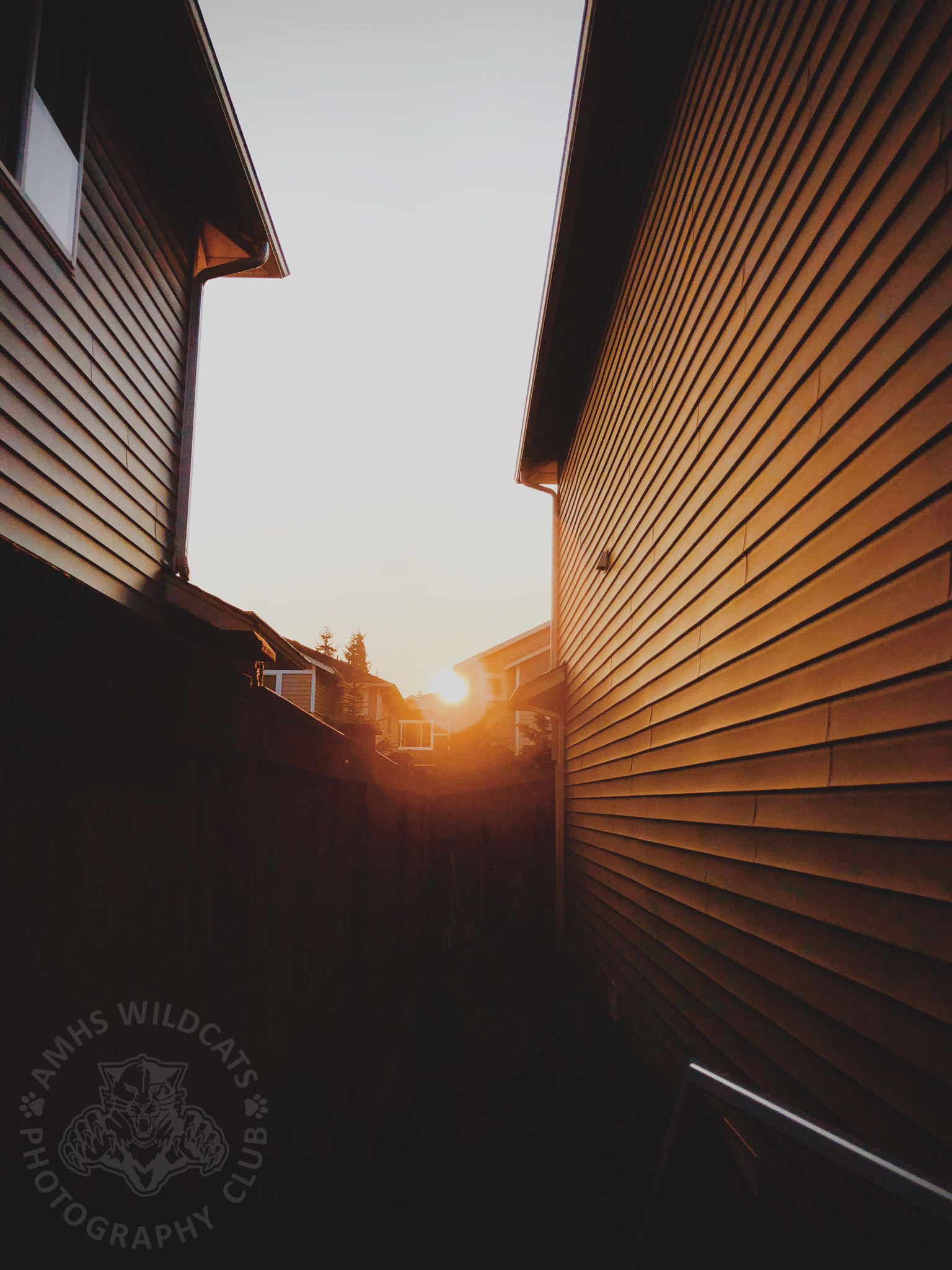 Photography Composition Challenge – Into the Jungle